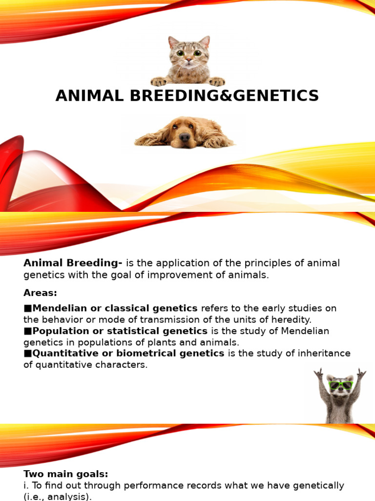 Animal Breeding and Genetics Overview | PDF | Poultry | Rabbit