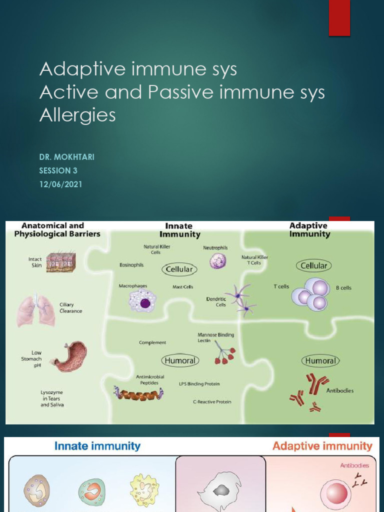 Adaptive Immune PowerPoint | PDF