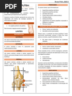 Anatomia da Região Poplítea | PDF | Joelho | Anatomia humana