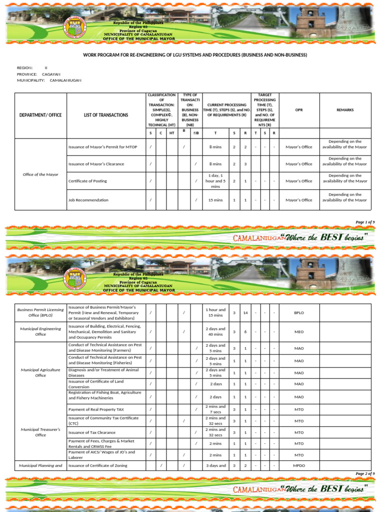 Camalaniugan LGU Systems Re-engineering | PDF