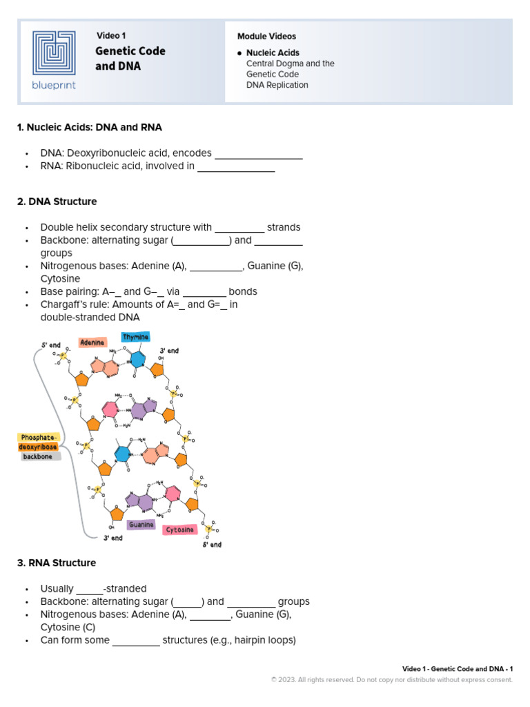 Genetic Code n DNA | PDF | Dna | Rna