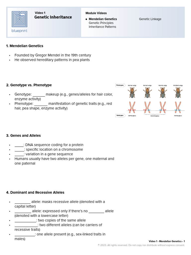 Genetic Inheritance | PDF | Dominance (Genetics) | Genetic Linkage