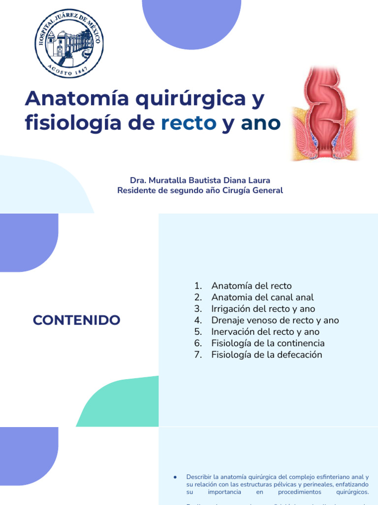 Anatomía y Fisiología del Recto y Ano | PDF | Recto | Intestino grueso