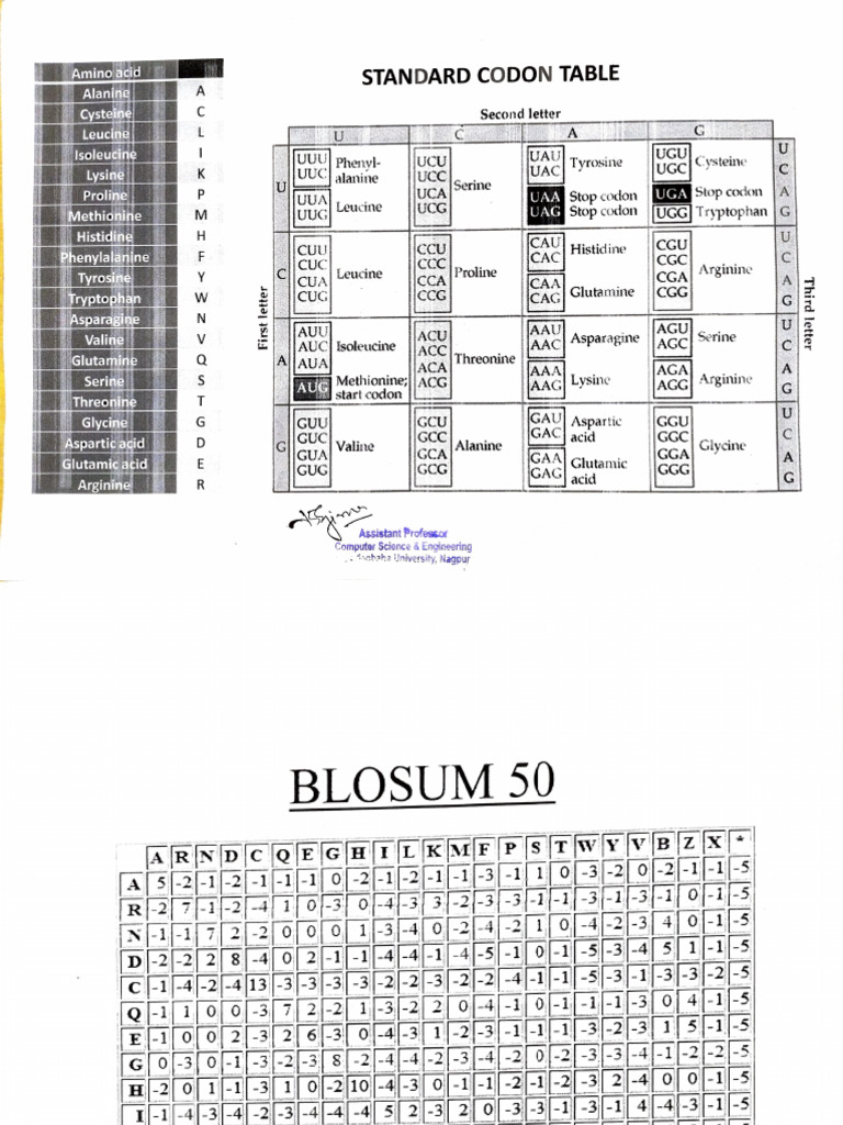 Amino Acids and Codon Tables Overview | PDF | Genetic Code | Biochemistry