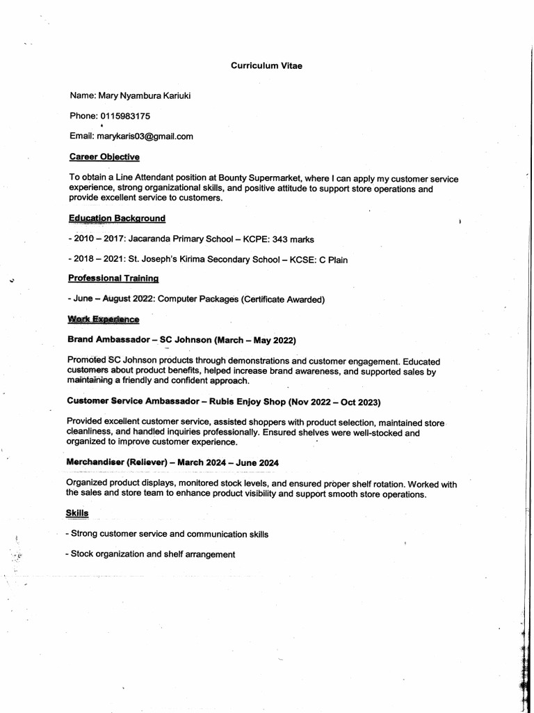 Mary Updated CV | PDF
