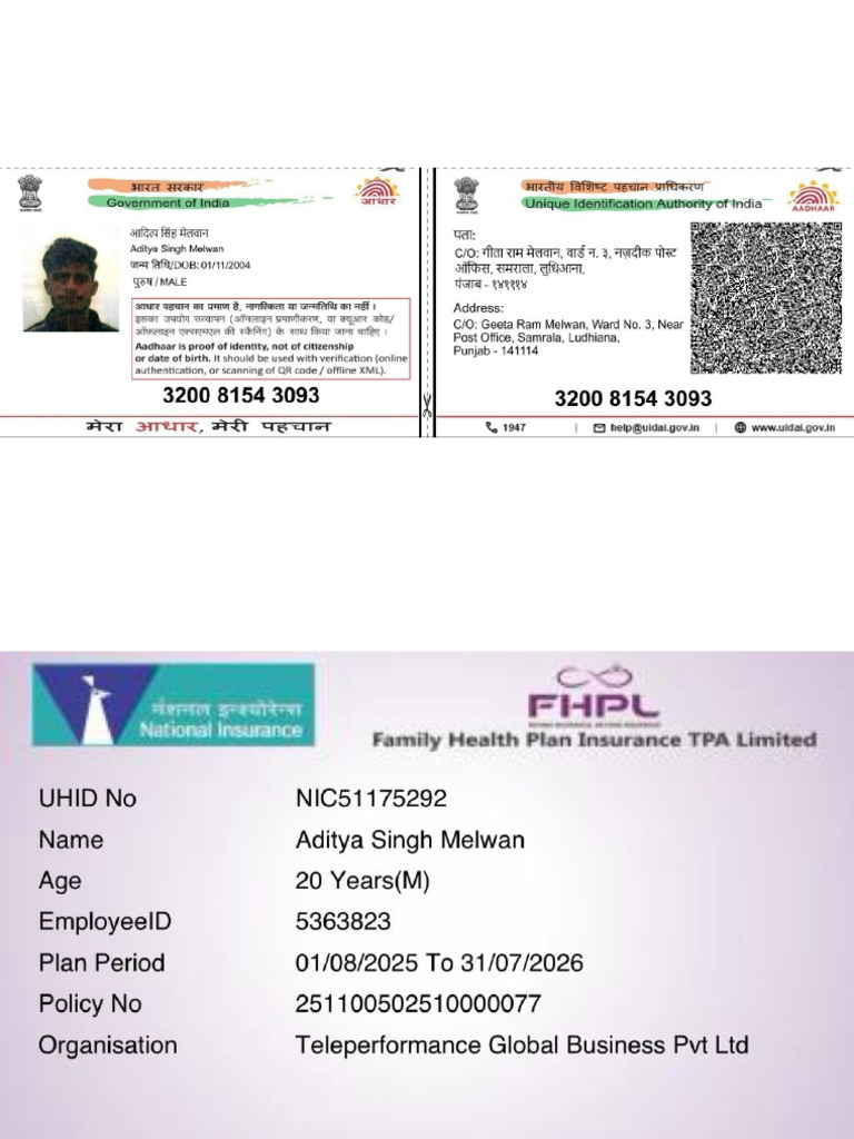 Aditya National FHPL | PDF