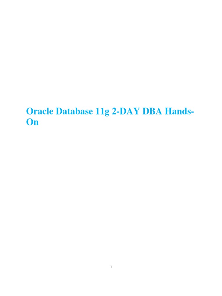 Oracle 11g 2 Day DBA Hands-On | PDF | Oracle Database | Installation ...