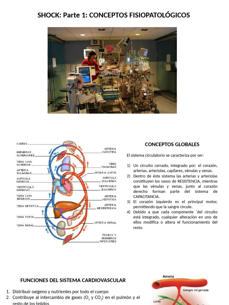 Shock | PDF | Sistema circulatorio | Ventrículo (corazón)