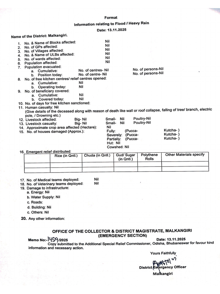 Daily Situation Report | PDF