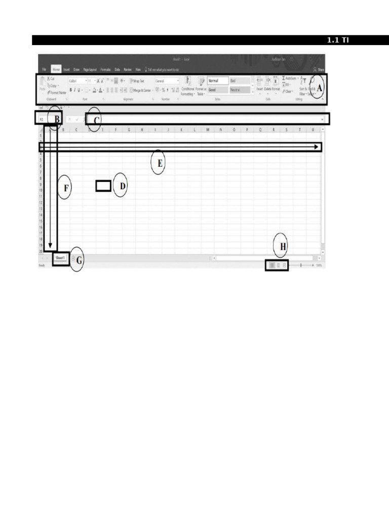 Topic 1 Getting Started With Excel | PDF | Text