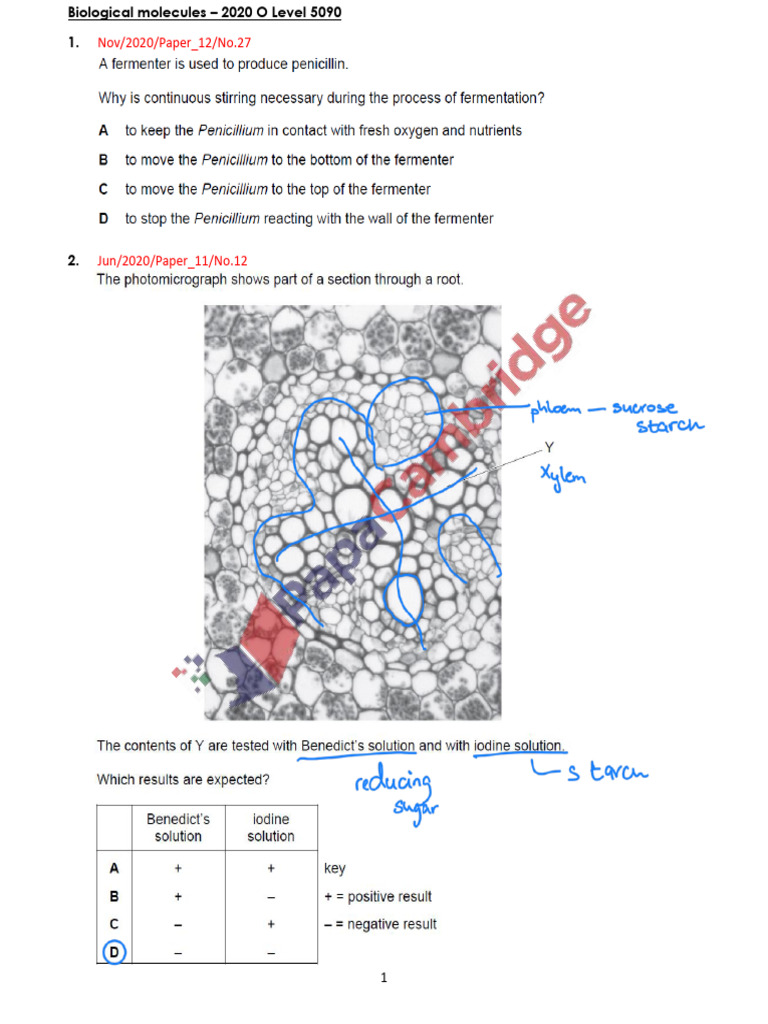 O Level 5090 Biological Molecules Exam | PDF