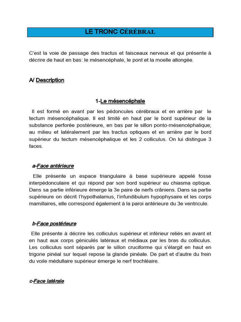Anatomie du tronc cérébral détaillée | PDF | Cervelet | Moelle épinière