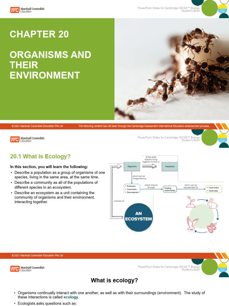 Cambridge IGCSE Biology Ecology Slides | PDF | Food Web | Ecosystem