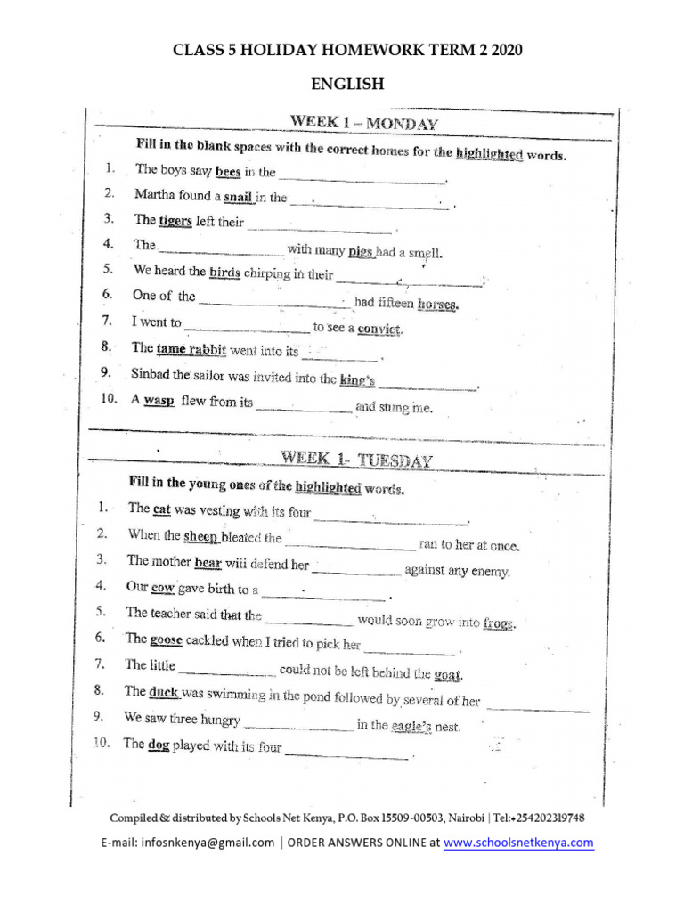 English Holiday Homework Class 5 Term 2 2020 PDF | PDF