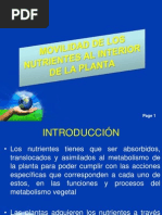 Apoplasto y Simplasto | PDF | Raíz | Biología Celular)