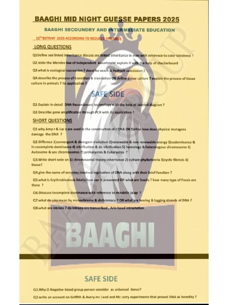 12 Botany Mid Night by Baaghi Brand Group | PDF