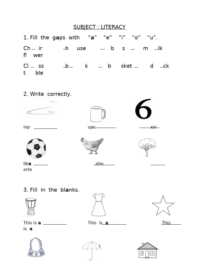 Literacy Skills Practice Worksheet | PDF