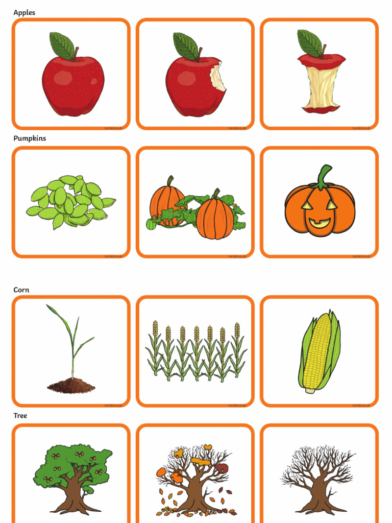 Ca2 T 59 Autumn Sequencing Challenge Cards Ver 1 | PDF