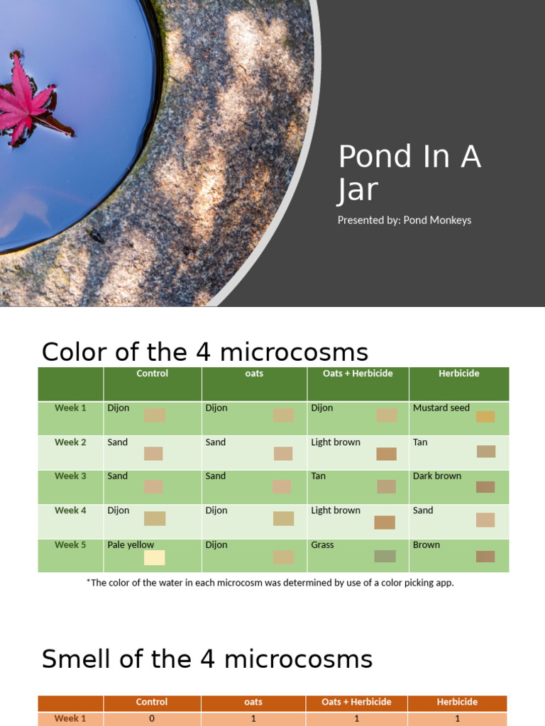 Microcosm Study: Water Quality Analysis | PDF | Eukaryotes | Organisms