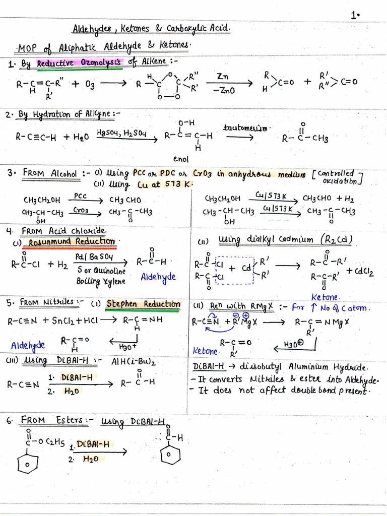 12 Akc Summary | PDF