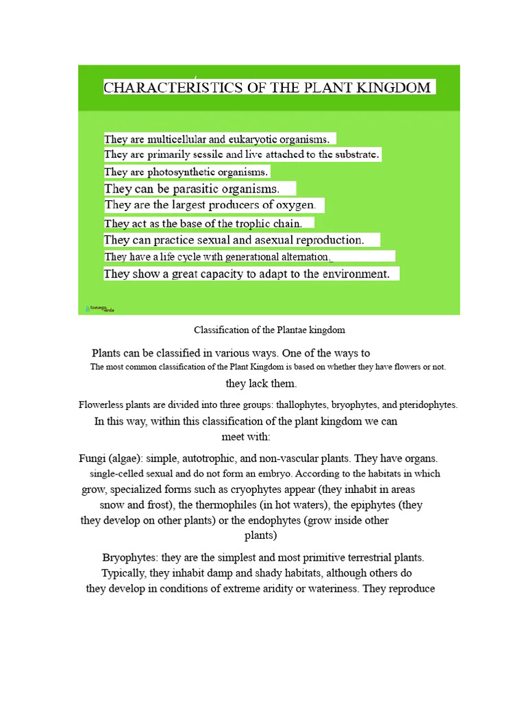 Classification of the Plantae Kingdom | PDF | Plants | Seed