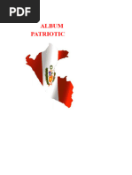 Bolivia's National Symbols Explained | PDF | Symbols | Flag