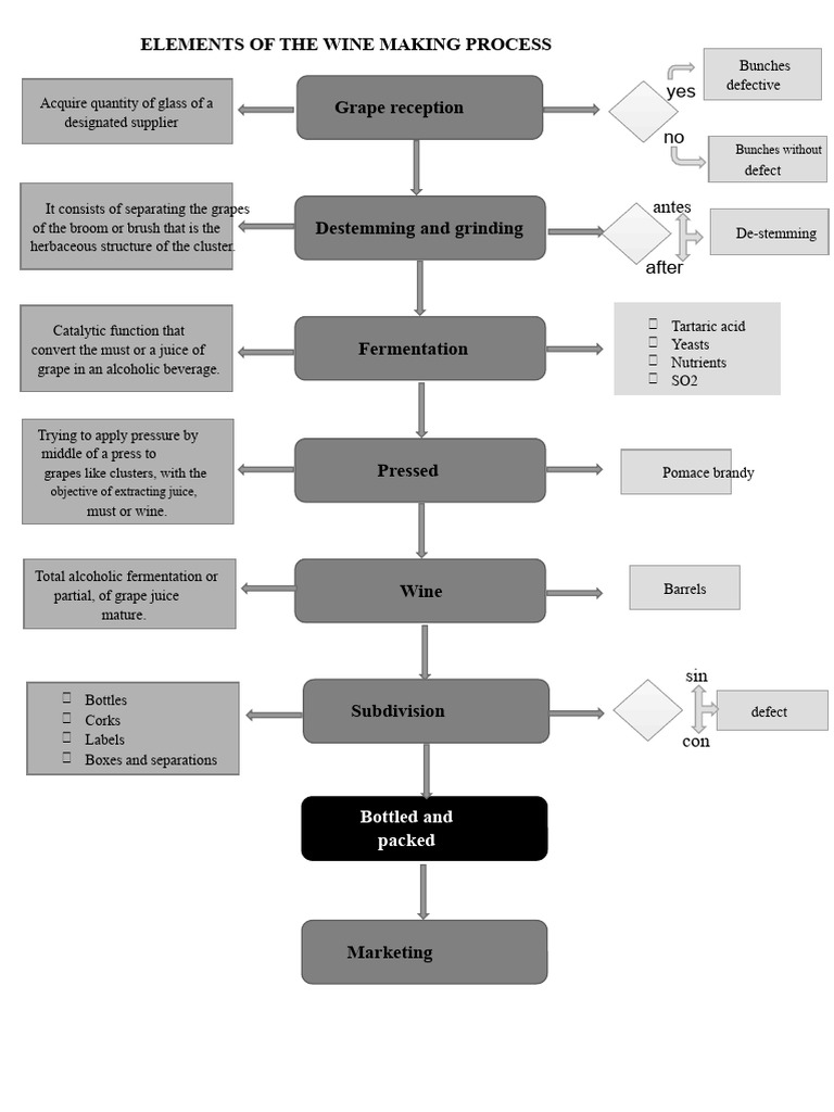 Vine Diagram | PDF