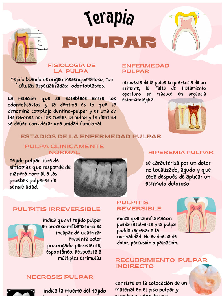 Terapia Pulpar | PDF