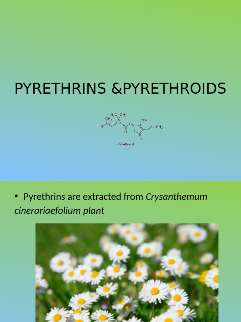 Pyrethrins &pyrethroids | PDF