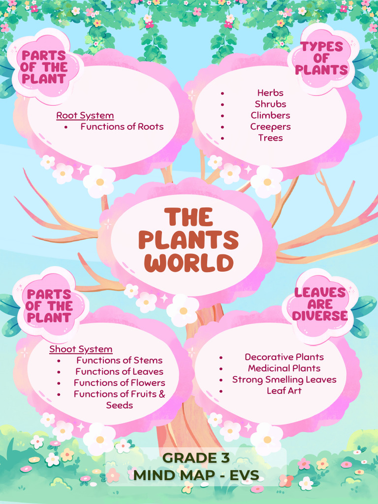 Grade 3 Plant Study Mind Map | PDF | Plants | Botany