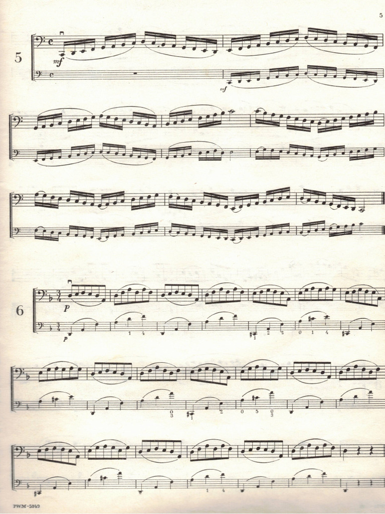S. Lee Etiuda NR 5 | PDF