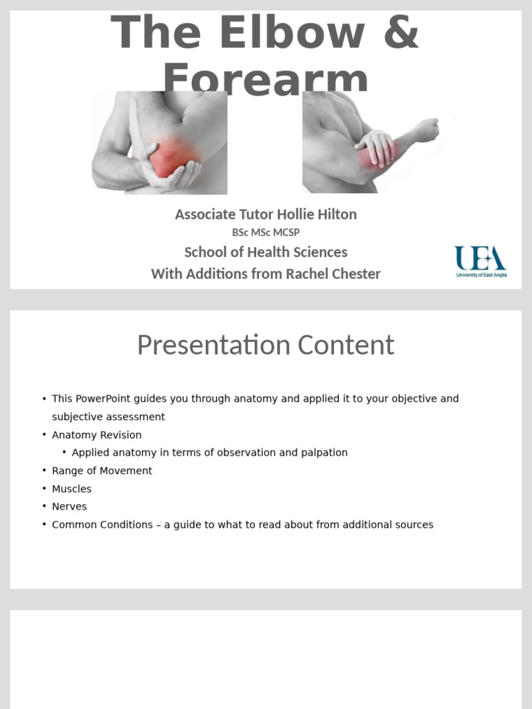 Elbow and Forearm Applied Anatomy To Assessment & Common Conditions ...