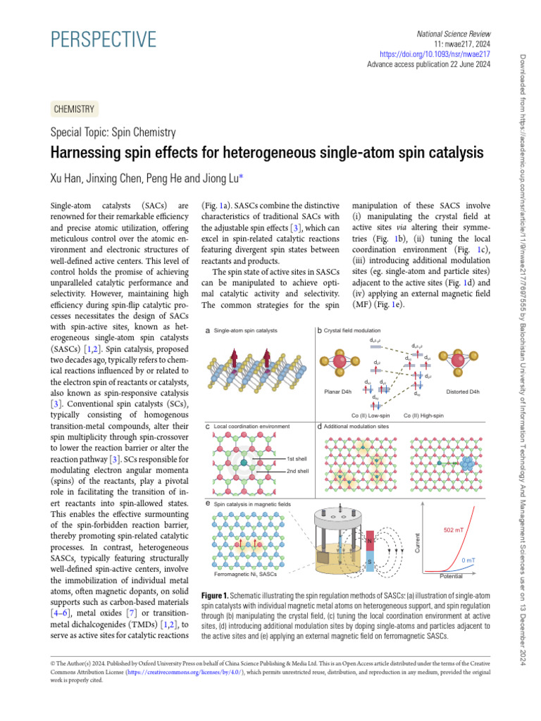 Harnessing Spin Effects for Heterogeneous Single-Atom Spin Catalysis ...
