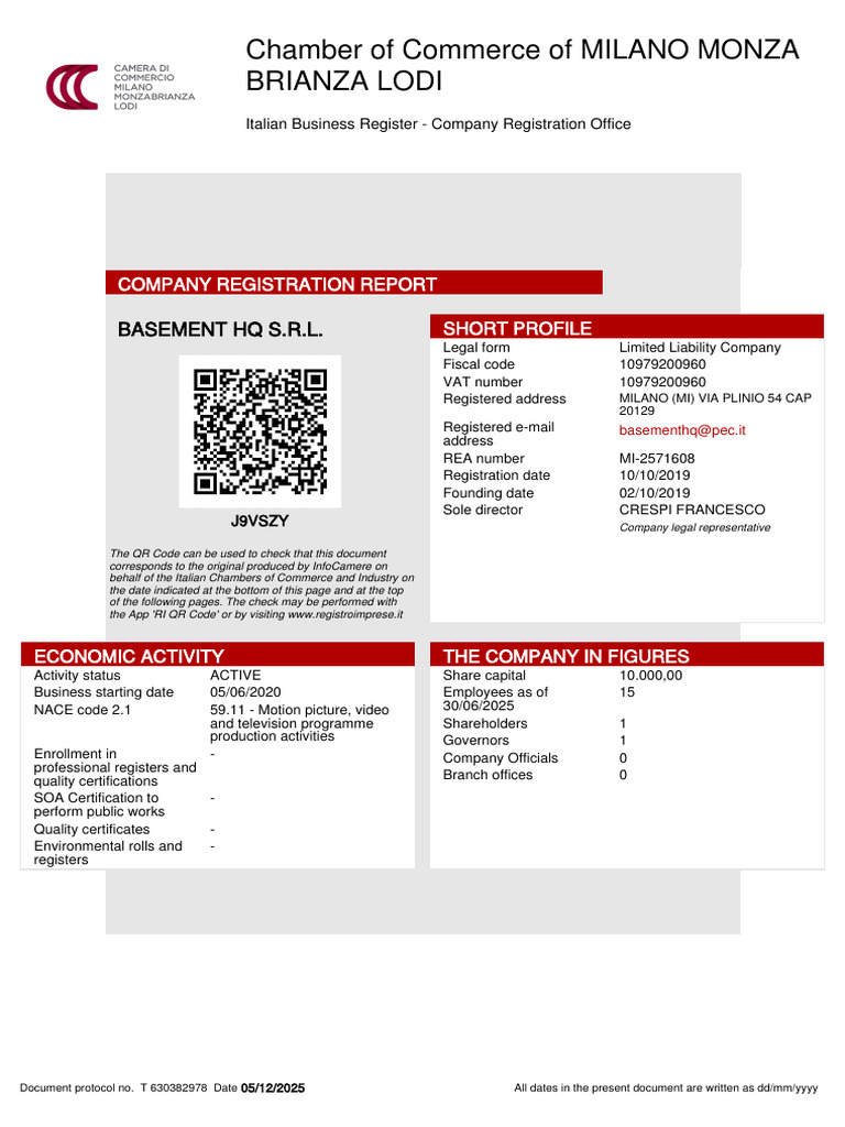 Basement HQ S.R.L. Company Report | PDF | Business