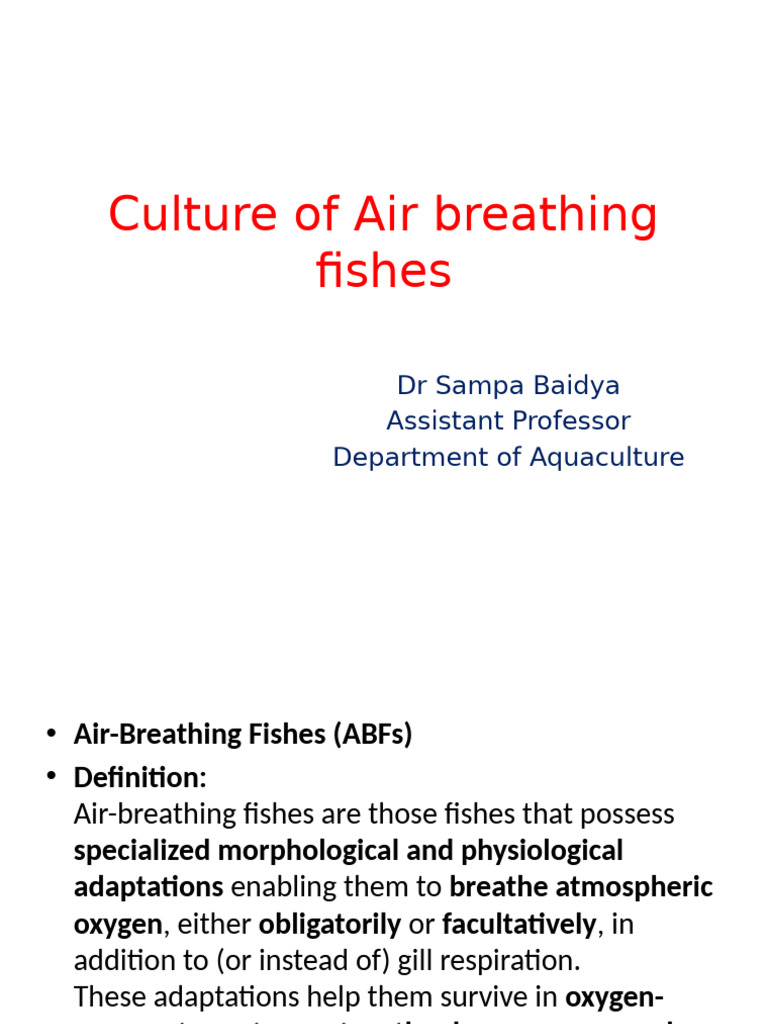 Air-Breathing Fish Culture Techniques | PDF | Fish | Respiratory System