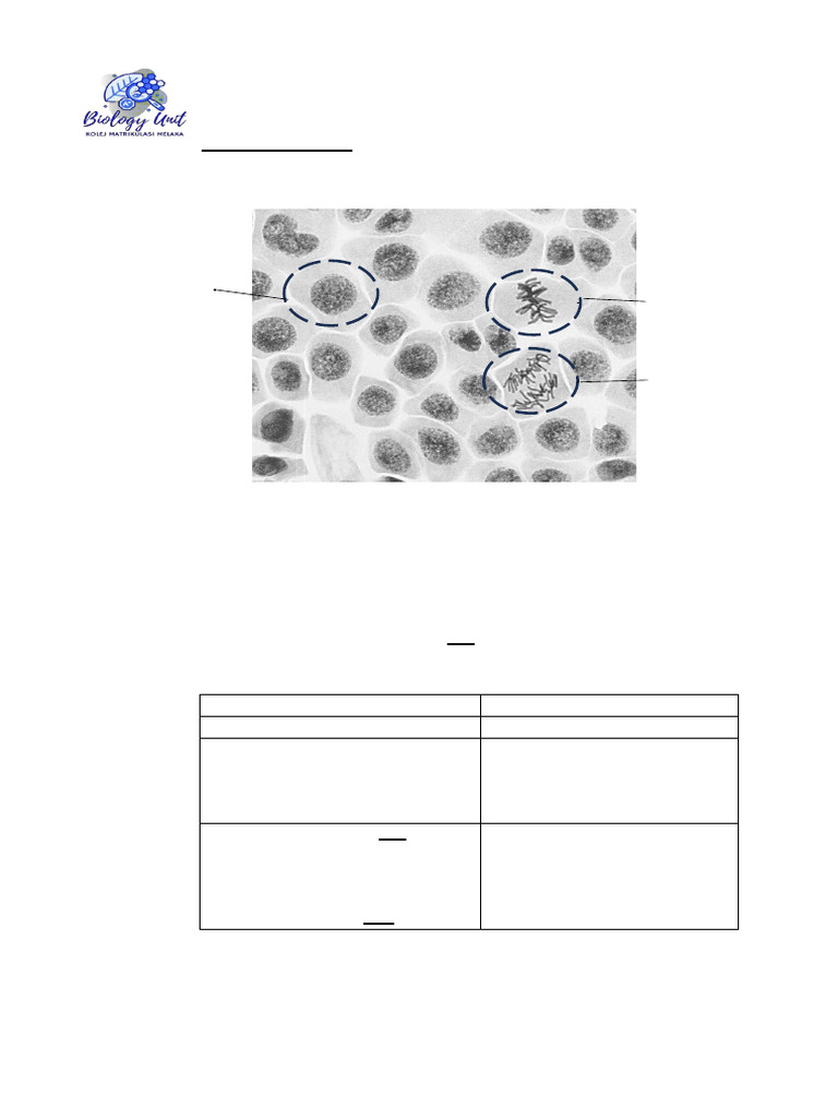 Cell Division and Genetic Inheritance Guide | PDF | Translation ...