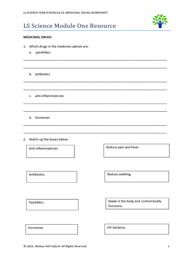 [M01.06] Medicinal Drugs Worksheet (1) | PDF