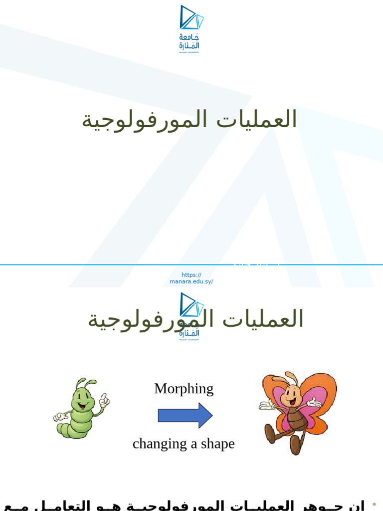 Morphological I Mge Processing | PDF