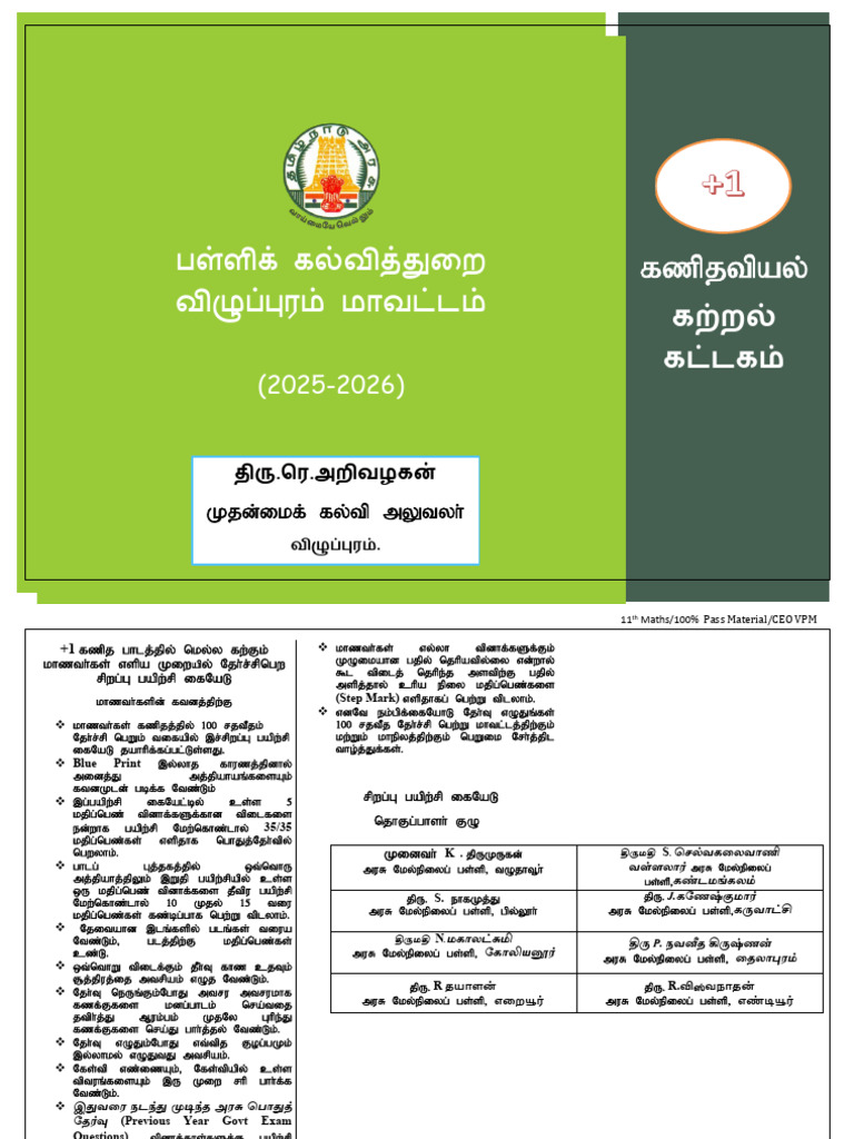 11th Maths MLM TM Ceo VPM 25 | PDF