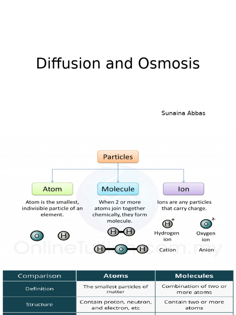 Diffusion and Osmosis | PDF | Osmosis | Diffusion
