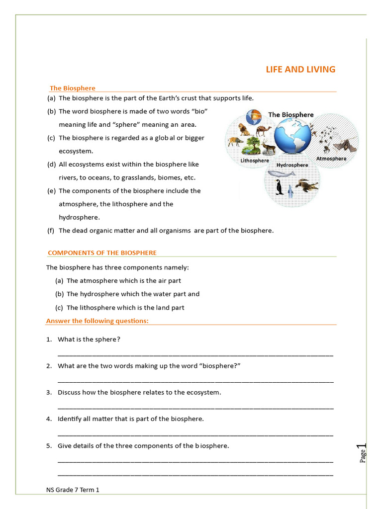 Grade 7 Ns Study Pack 2025555 | PDF | Flowers | Atmosphere Of Earth