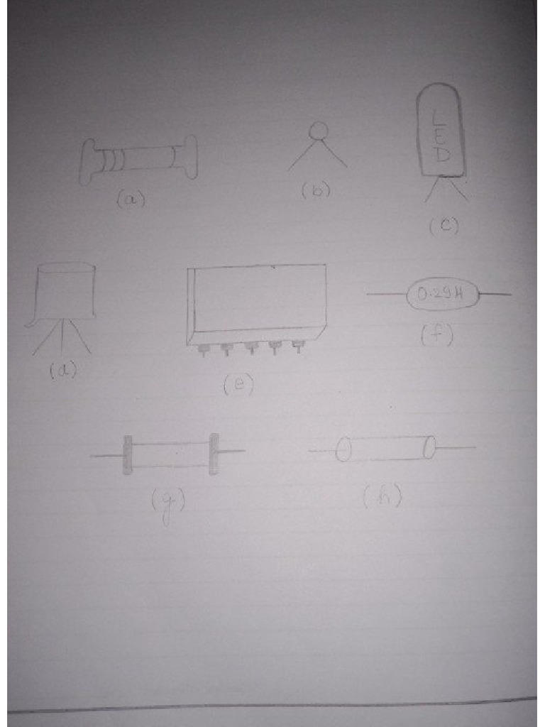 Activity File (Physics) | PDF