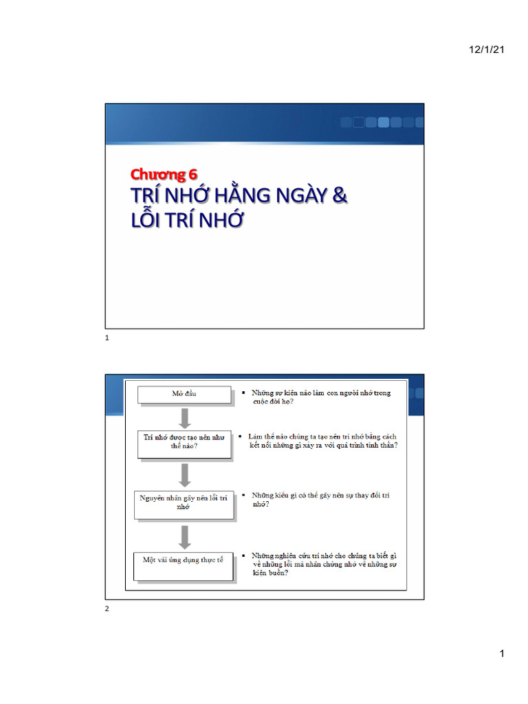 Bai 6. Loi Tri Nho. 6.3 Sai Lam Trong Loi Lam Chung | PDF