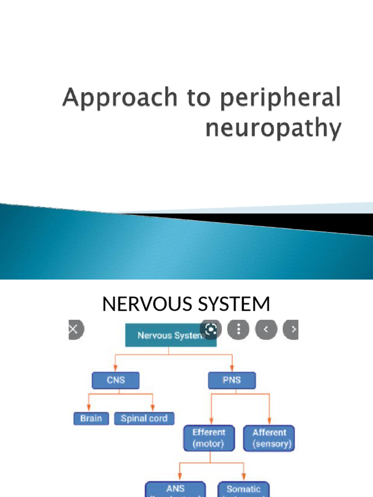 Understanding Peripheral Neuropathy | PDF | Peripheral Neuropathy | Nerve
