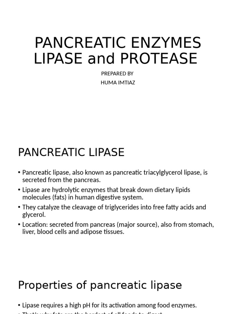 Pancreatic Enzymes: Lipase & Protease Overview | PDF | Pancreas | Trypsin