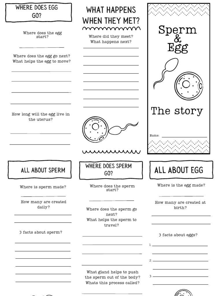 Sperm & Egg | PDF
