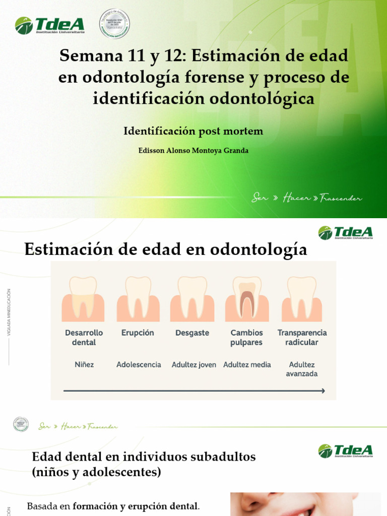 Semana 11 y 12. Estimación de La Edad y Proceso de Identificación | PDF ...