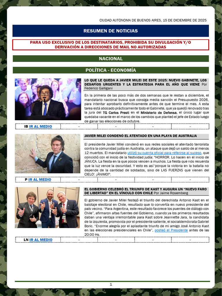 RN 15 Dic 25 | PDF | Gobierno