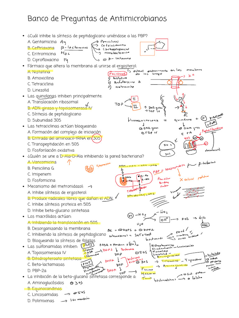 Banco de Preguntas de Antimicrobianos | PDF | Biotecnología | Biología ...
