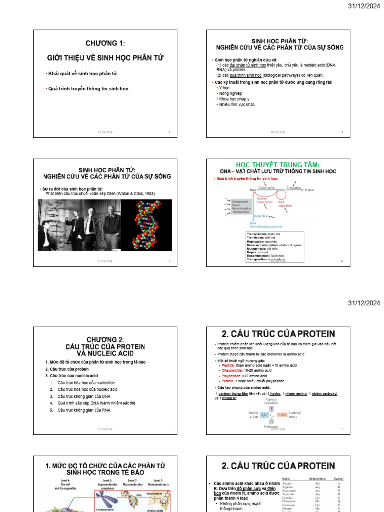 From DNA To Protein | PDF